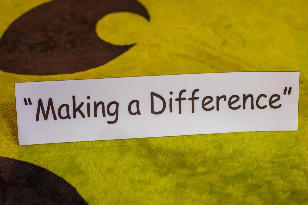 Making a Difference Funny Car Magnet - Etsy