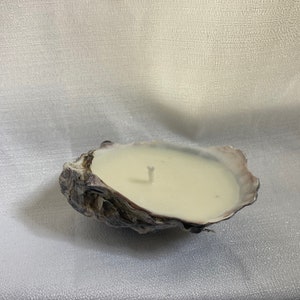 Oyster Shell Candles - Pack of Three - Etsy