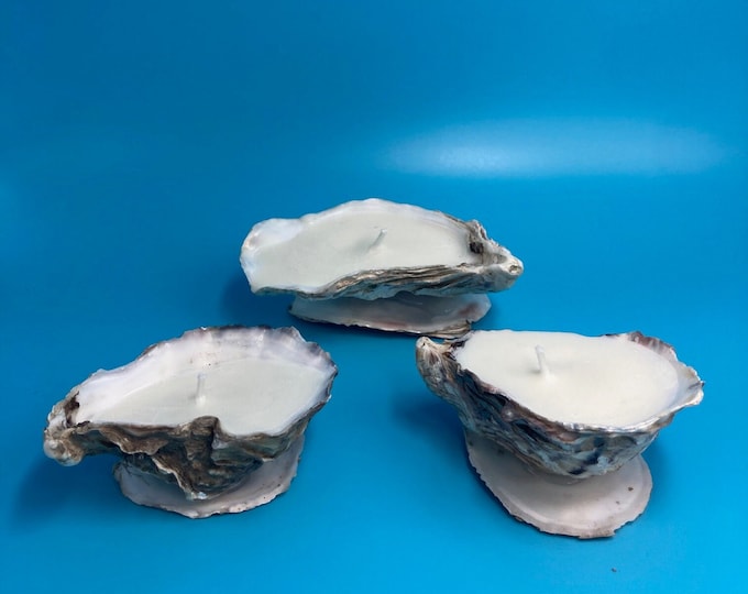 Oyster Shell Candles Pack of Three - Etsy