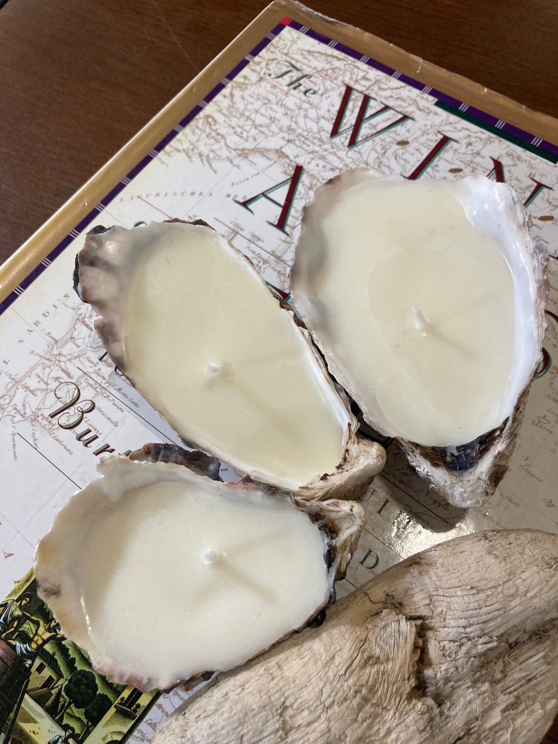 Oyster Shell Candles - Pack of Three - Etsy