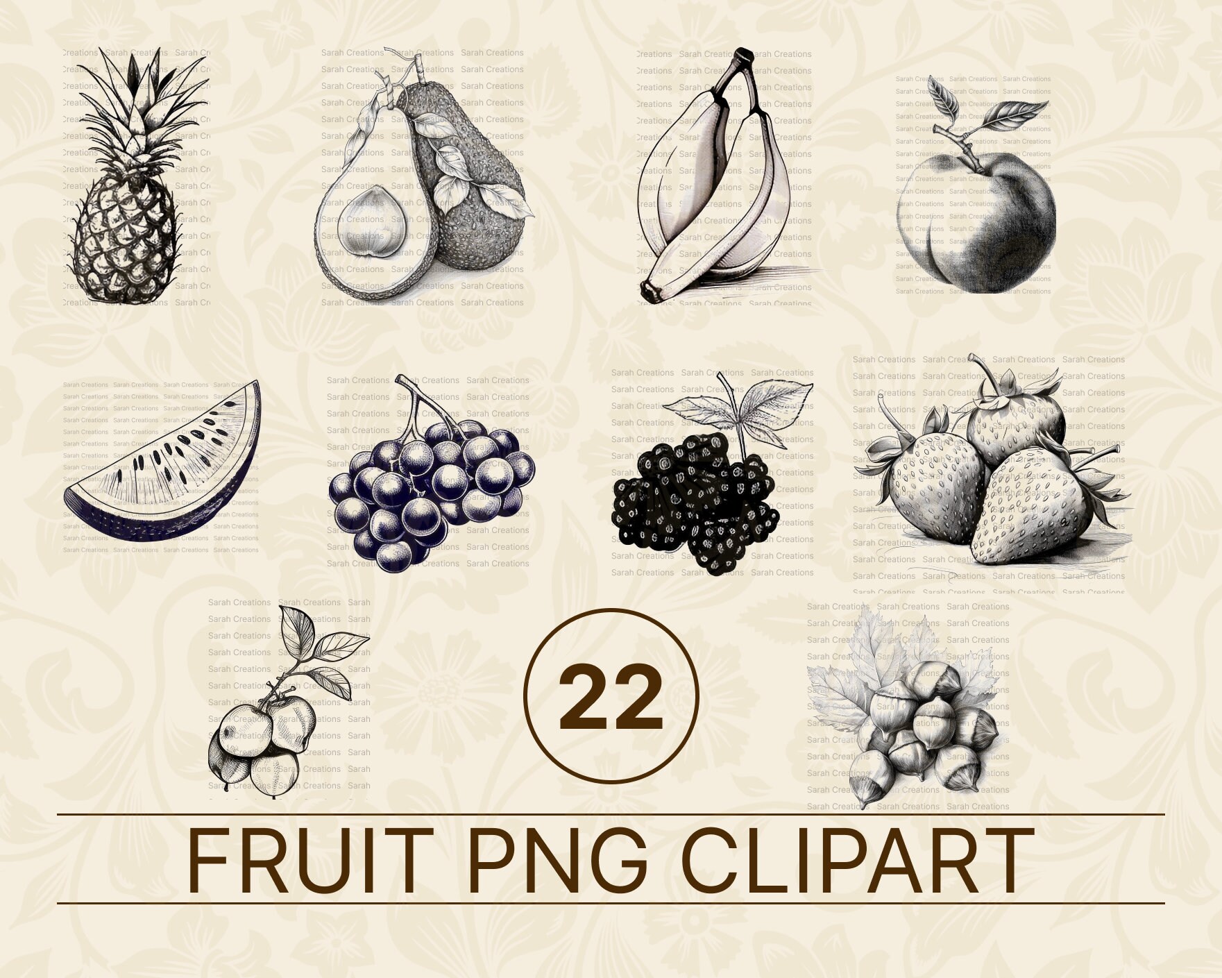 Vintage Fruit Vector