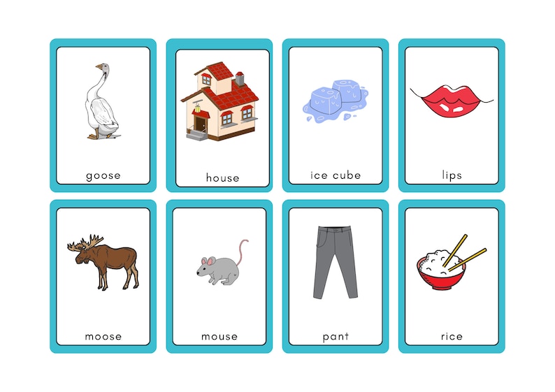 80 Flashcards De Vocabulaire Courants -montesorri - Anglais Et Français ...