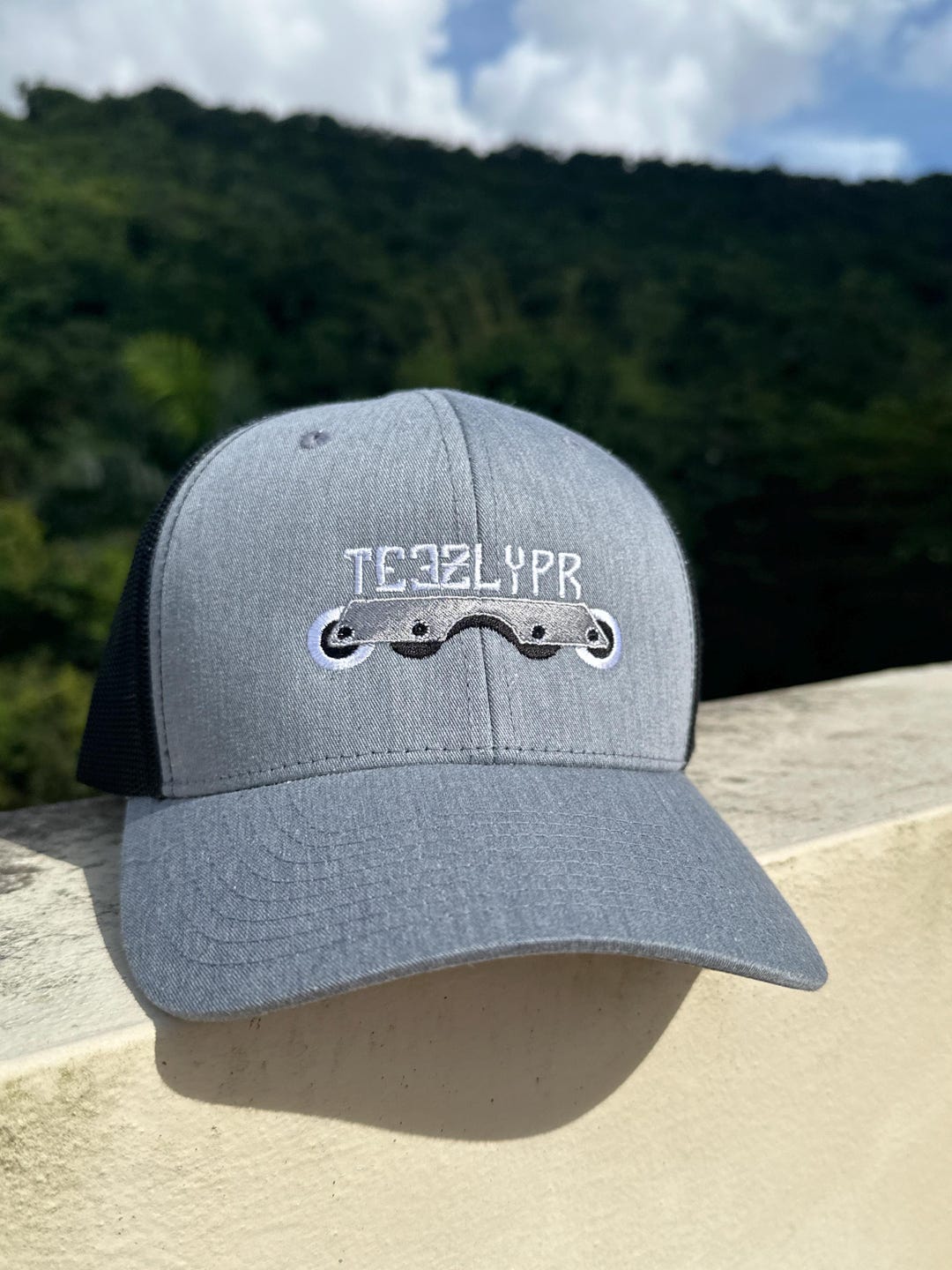 Embroidered Rollerblade Hat, Anti Rocker Frame Cap, Blading Trucker Hat ...