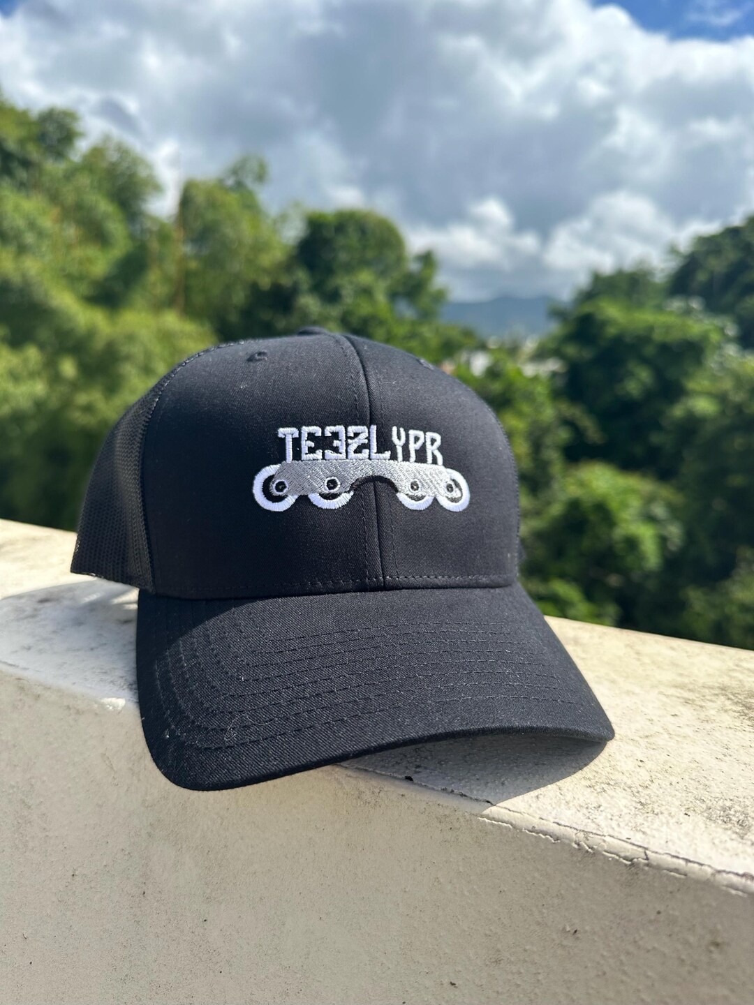 Embroidered Roller Blade Hat, Flat Frame Cap, Blading Trucker Hat ...