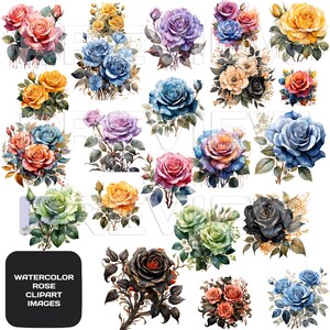 22 Rose Clipart Pngs Flower Clipart Digital Download Card - Etsy