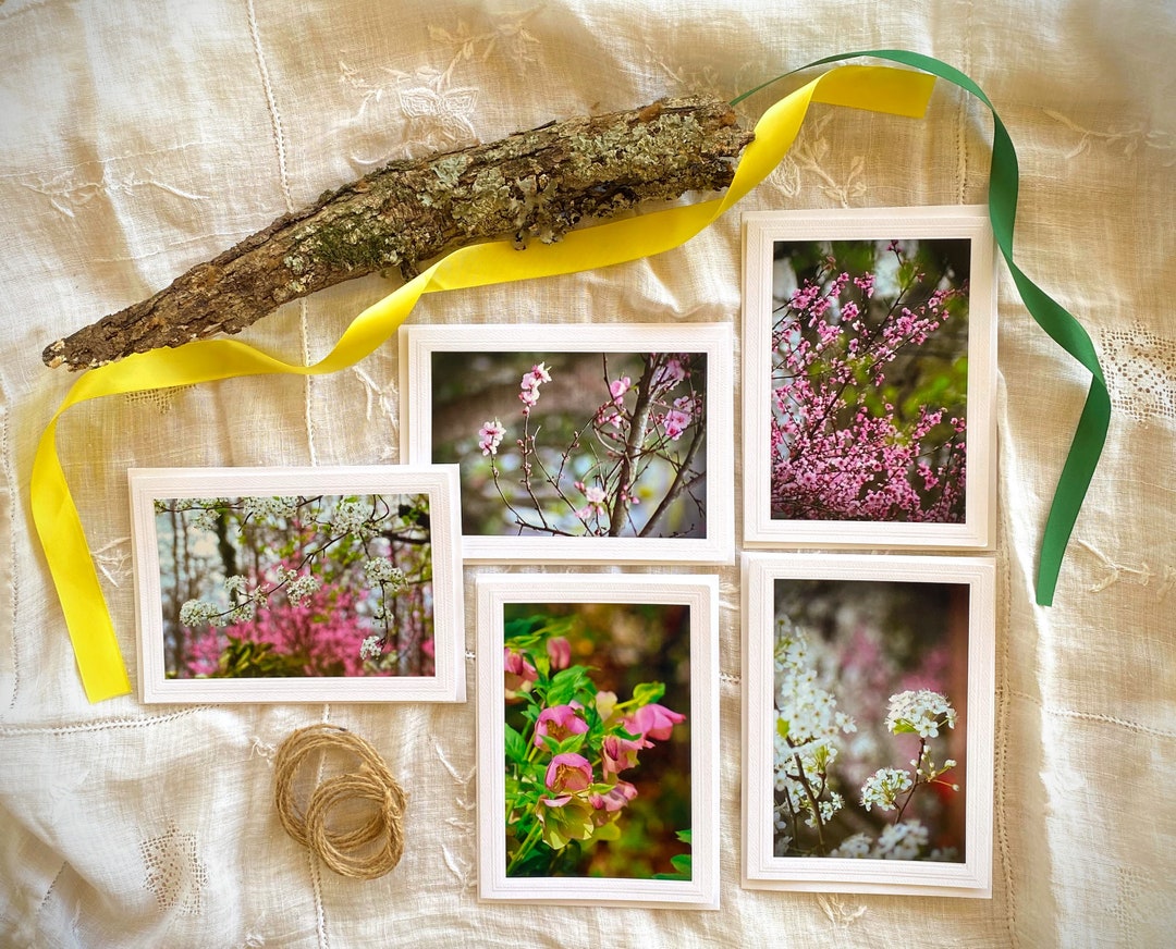 Spring Time Cards for Any Occasion, Blank Inside, Set of 5 Original ...