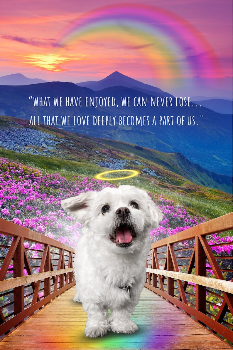 Rainbow Bridge Memorial Custom Portrait Rainbow Bridge Pet Loss ...