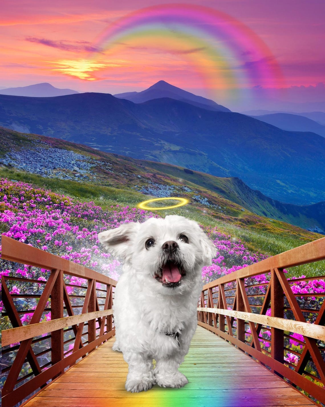 Rainbow Bridge Memorial Custom Portrait Rainbow Bridge Pet Loss ...