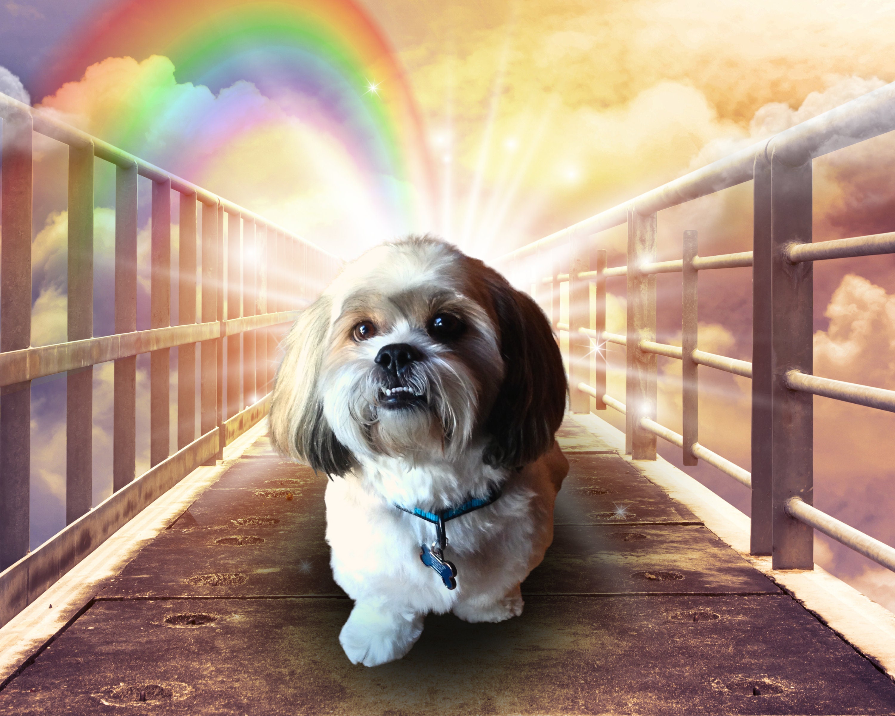 Custom Rainbow Bridge Gift Custom Pet Loss Rainbow Bridge Personalized ...