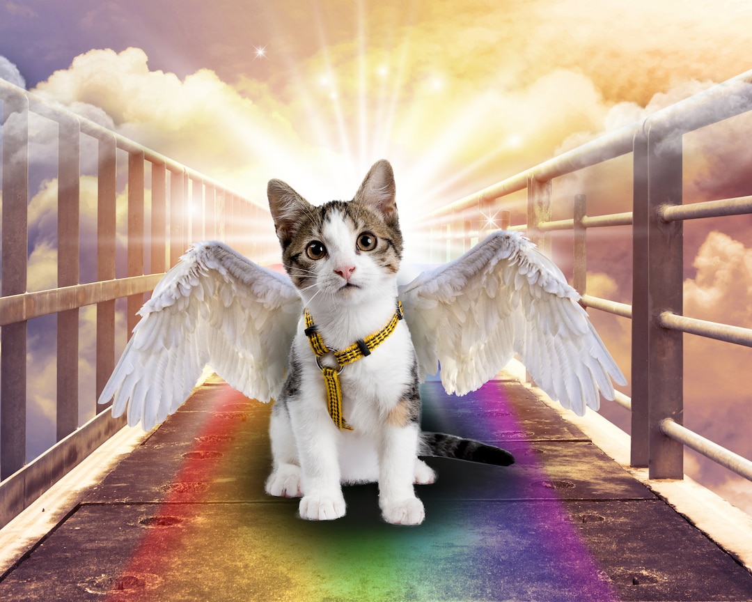 Custom Rainbow Bridge Gift Custom Pet Loss Rainbow Bridge Personalized ...