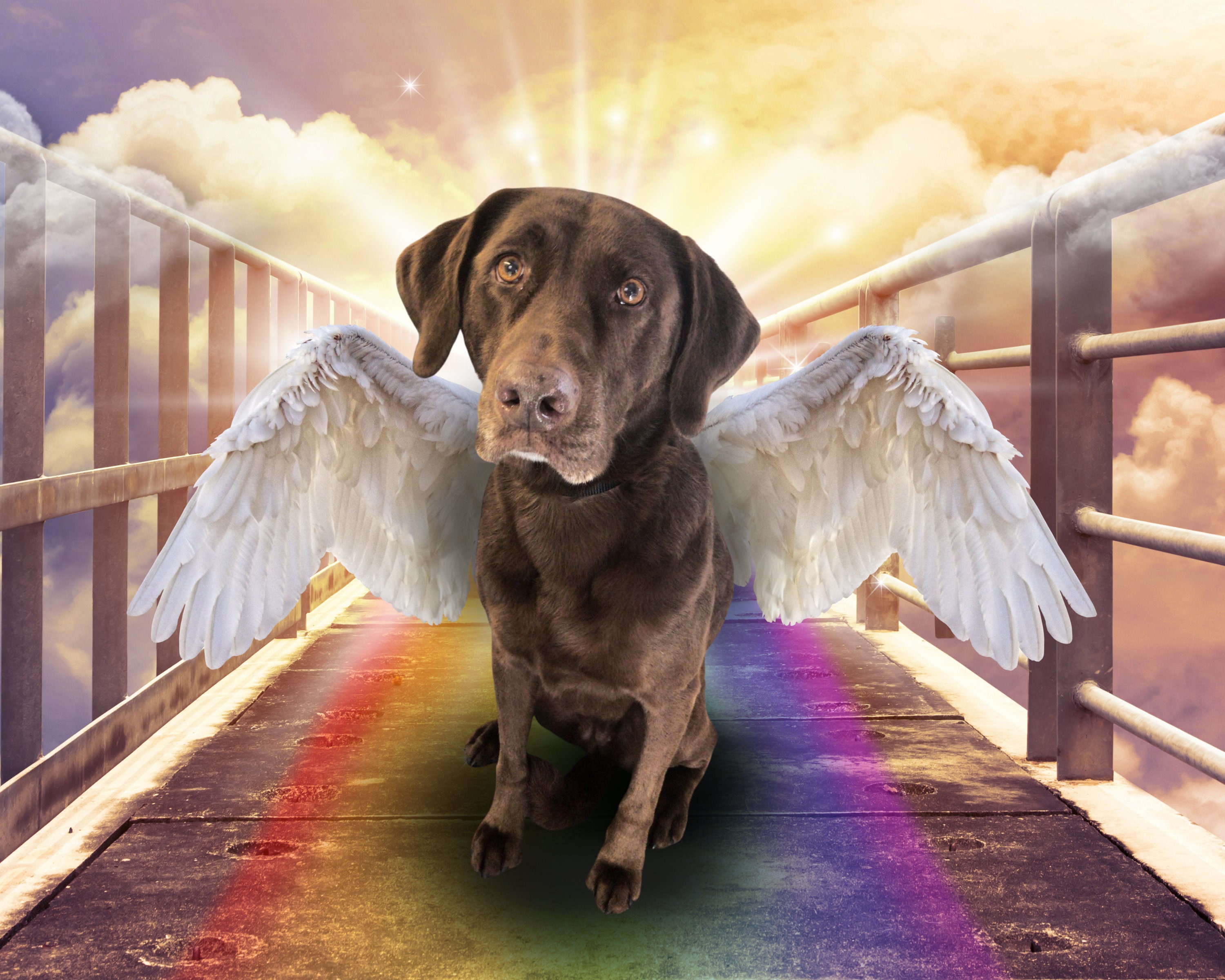Custom Rainbow Bridge Gift Custom Pet Loss Rainbow Bridge Personalized ...