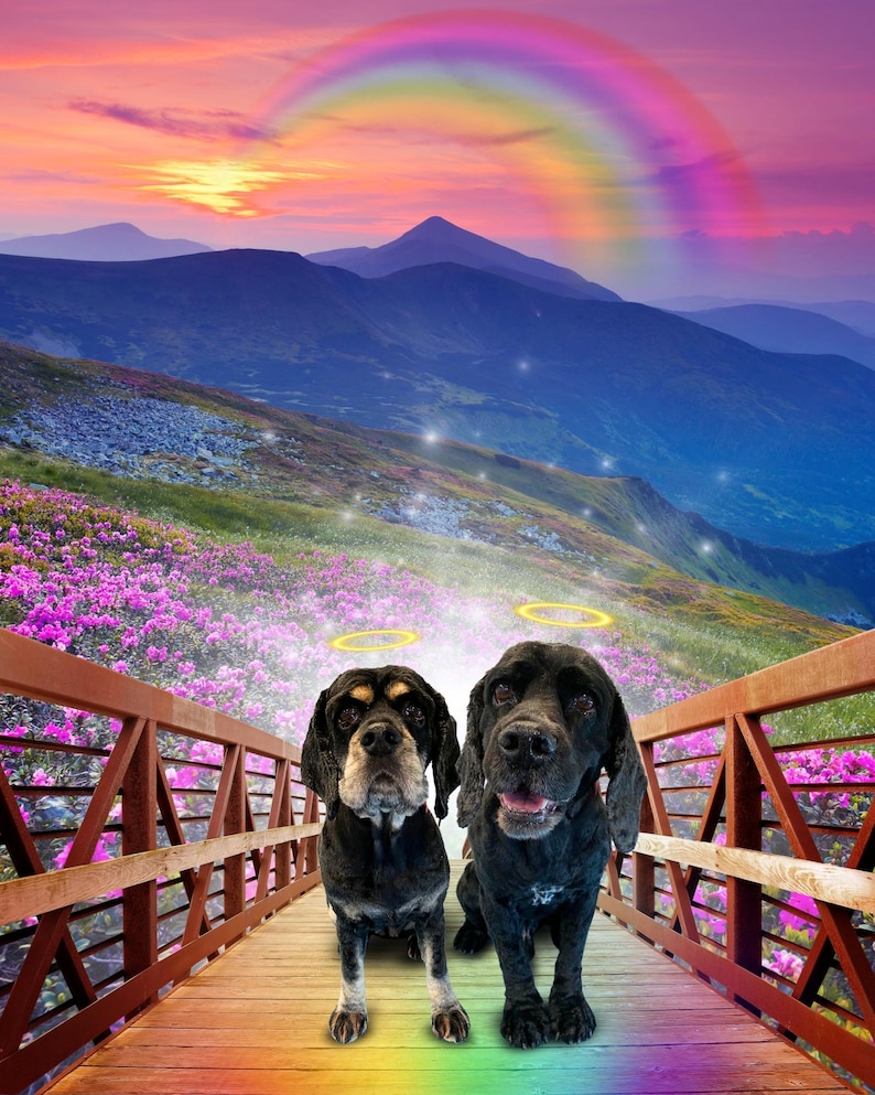 Rainbow Bridge Memorial Custom Portrait Rainbow Bridge Pet Loss ...