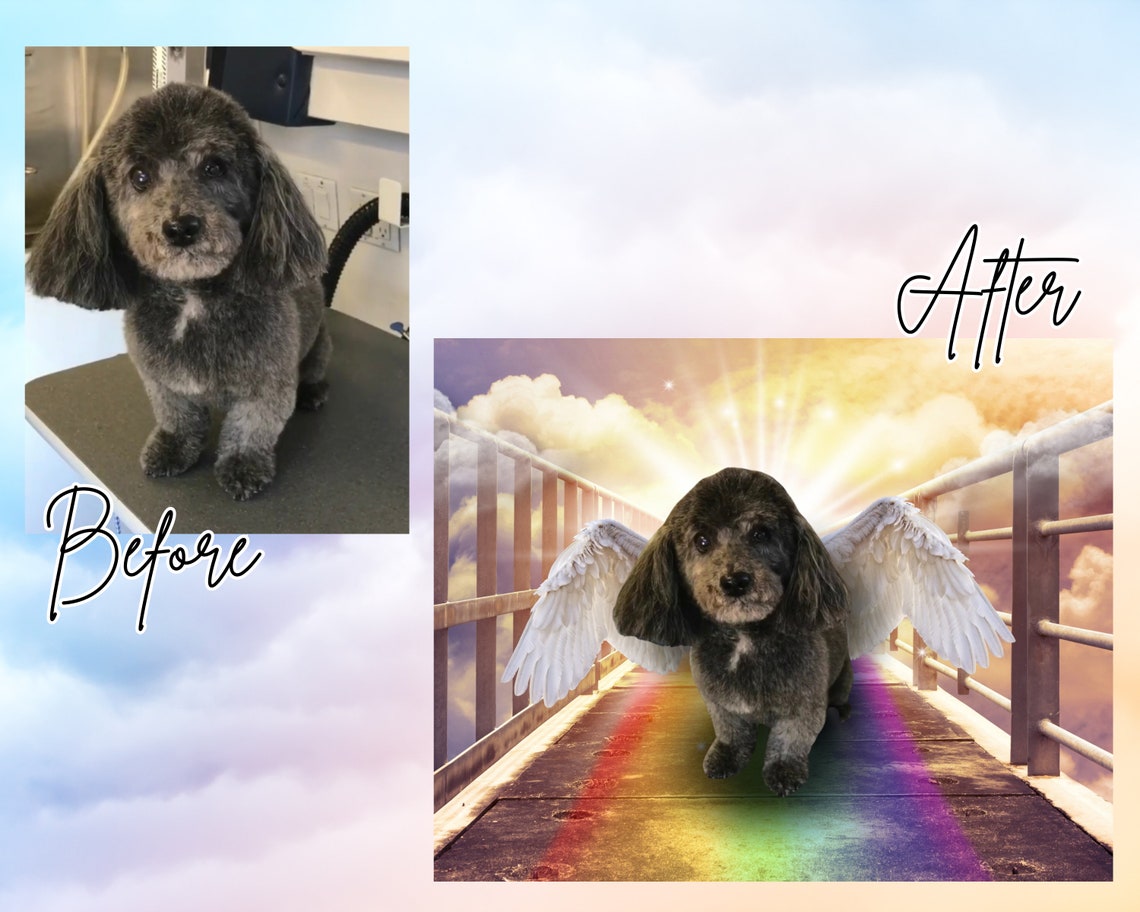 Custom Rainbow Bridge Gift Custom Pet Loss Rainbow Bridge - Etsy
