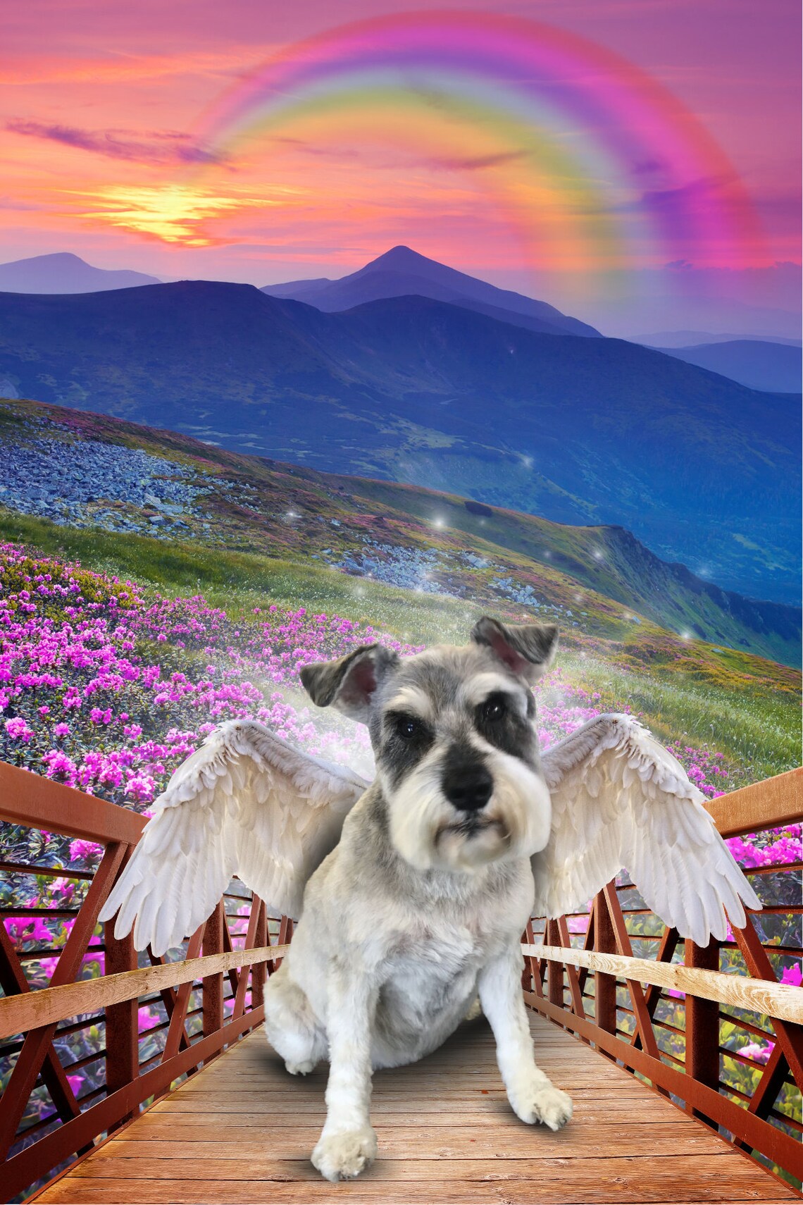 Rainbow Bridge Memorial Custom Portrait Rainbow Bridge Pet Loss ...