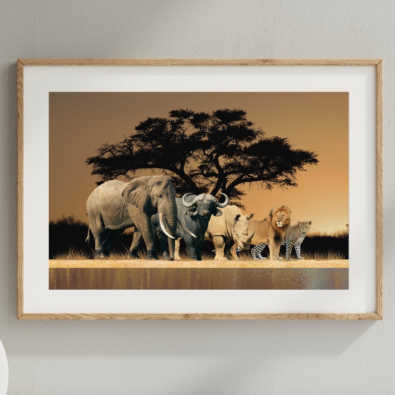 Big Five Africa Art - Etsy