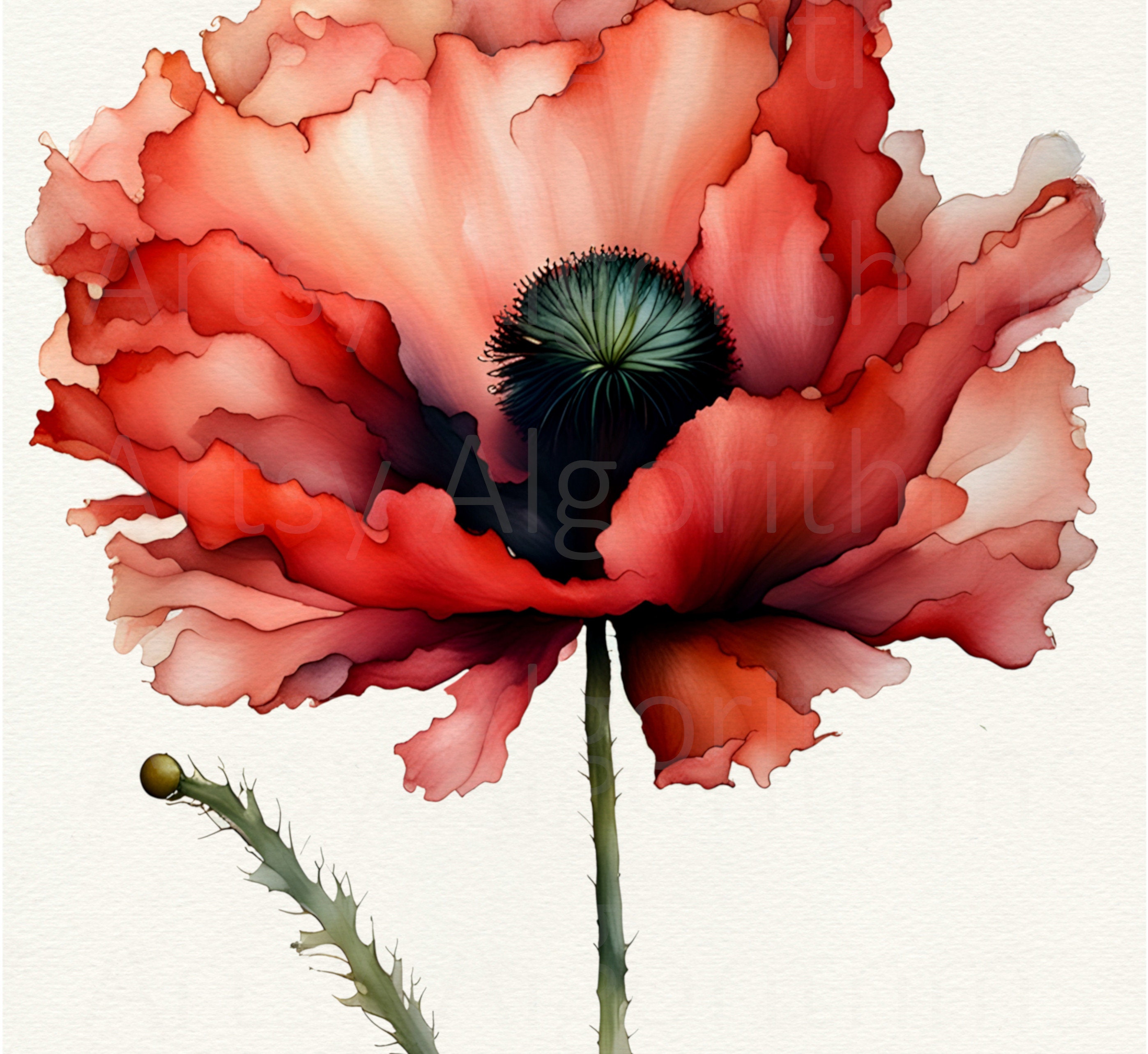 RED POPPY FLOWER, Digital Art, Watercolor Red Poppy, Flower Art, Poppy ...