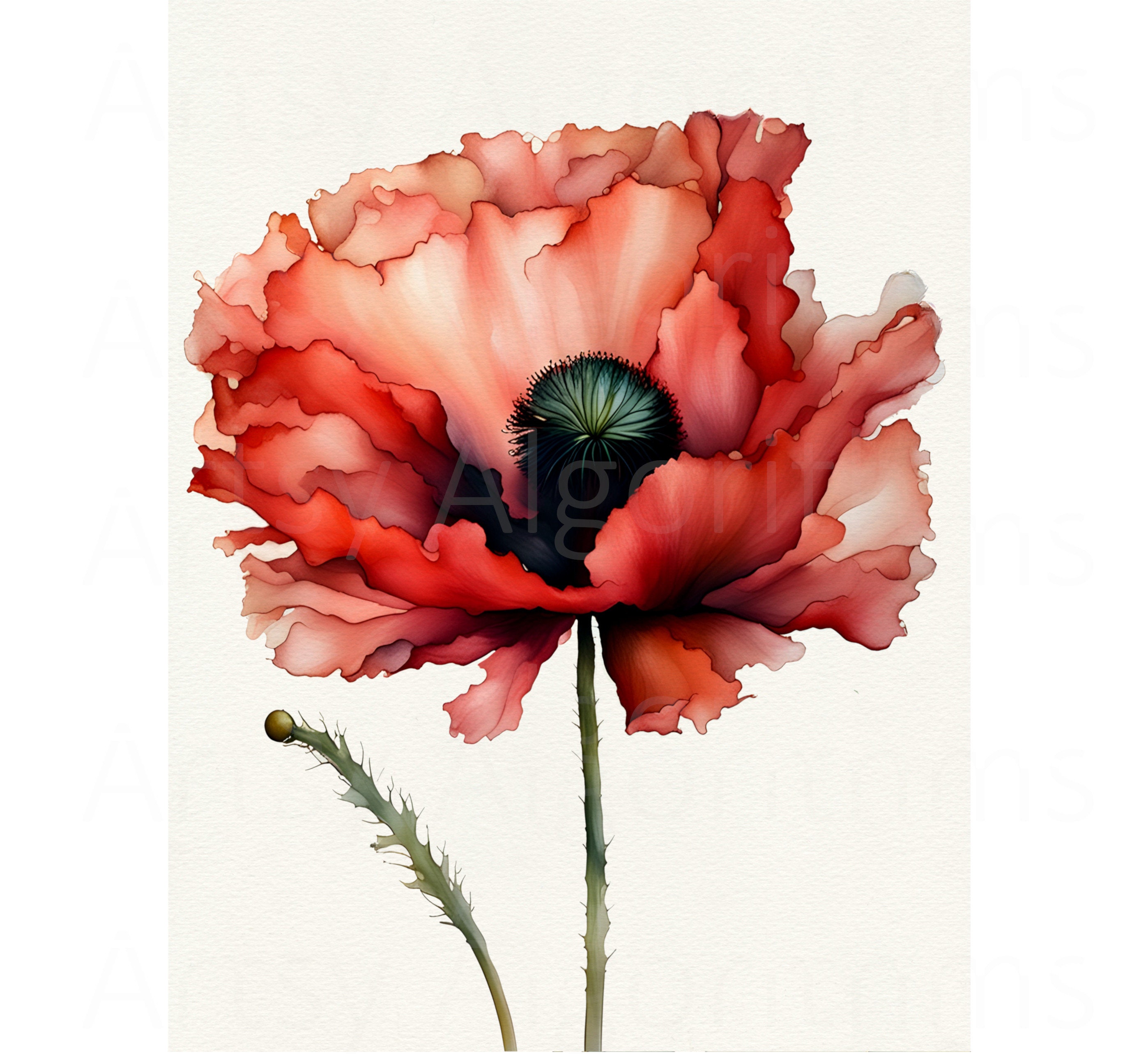 RED POPPY FLOWER, Digital Art, Watercolor Red Poppy, Flower Art, Poppy ...