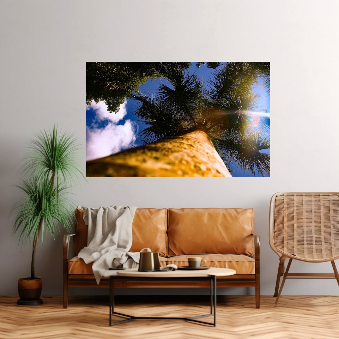 Palm Tree Photography Print Honolulu Hawaii Gift Hawaiian Wall Art ...