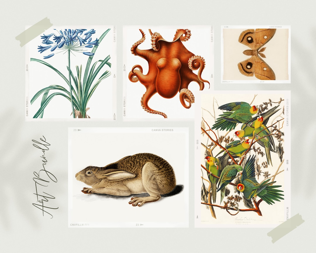 21 Digital Printable Nature and Botanical Art Prints - Etsy