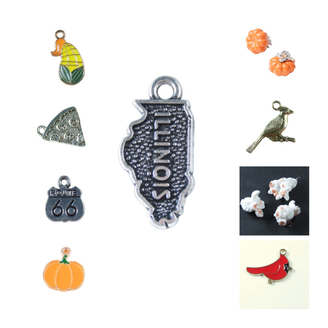 Illinois Themed Stitch Marker Set, Progress Keeper Gift for Illinois ...