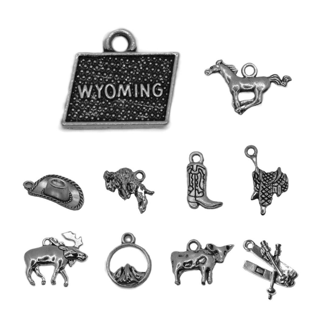 Wyoming Themed Stitch Marker Set, Progress Keeper for Wyoming State ...