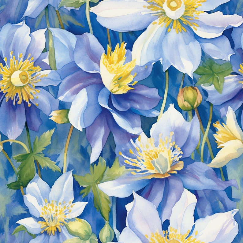 Colorado State Flower - Colorado Blue Columbine Blossom - Flower ...