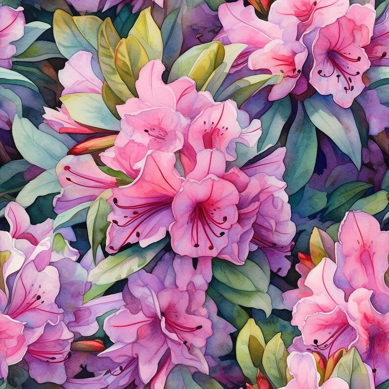 Washington State Flower - Pacific Rhododendron - Flower Pattern ...