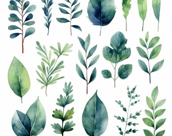 Greenery Foliage Leaves Clipart Set: 20 Images Watercolor - Etsy
