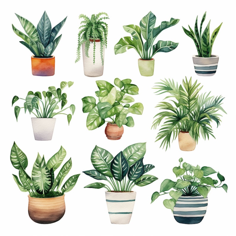 Watercolor House Plants Clipart Watercolor Greenery and - Etsy