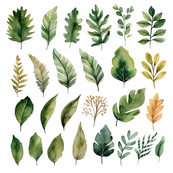 Watercolor Botanicals - Etsy UK