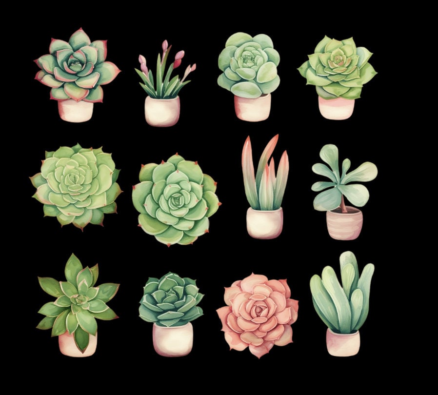 Watercolor Succulent Clipart Watercolor Cactus: 21 Images, Succulent ...