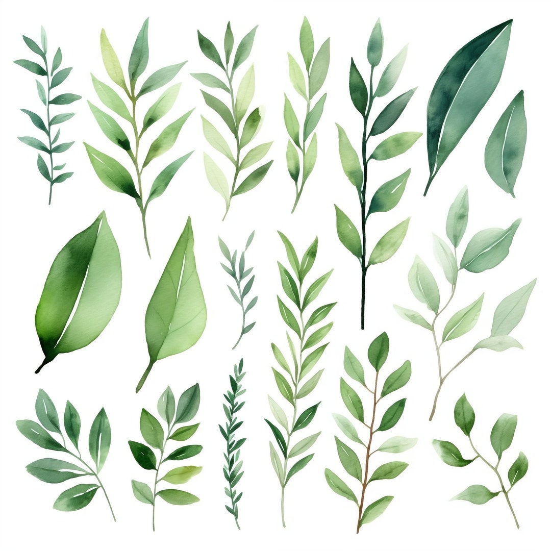 Greenery Foliage Leaves Clipart Bundle, Watercolor Leaves Png, Lush ...