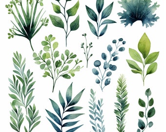 Greenery Foliage Leaves Clipart Set: 21 Images Watercolor - Etsy