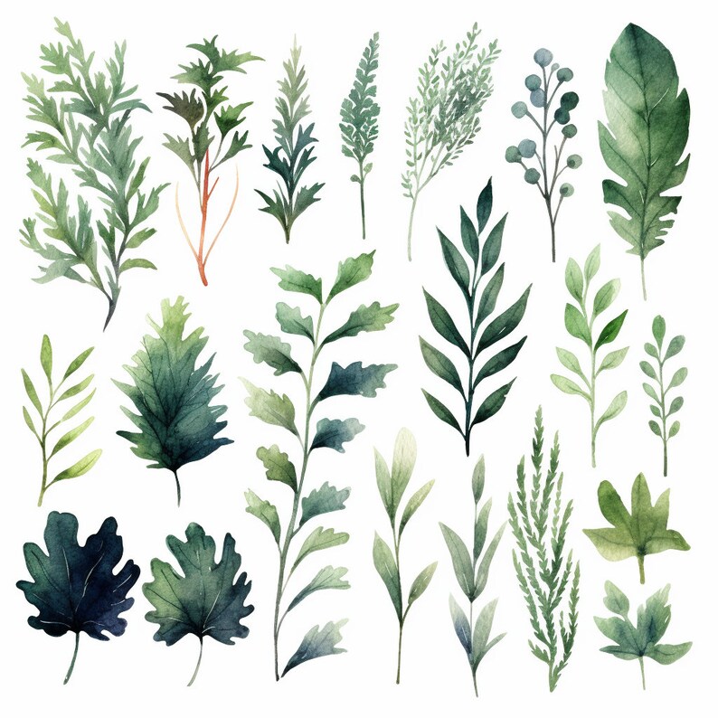 Greenery Foliage Leaves Clipart Set: 20 Images Watercolor - Etsy