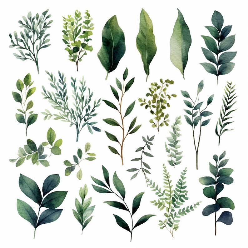 Greenery Foliage Leaves Clipart Set: 21 Images Watercolor - Etsy