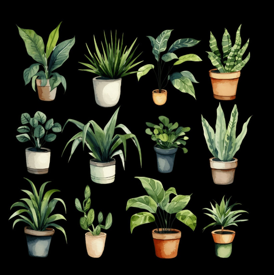 Watercolor House Plants Clipart - Watercolor Greenery and Foliage ...