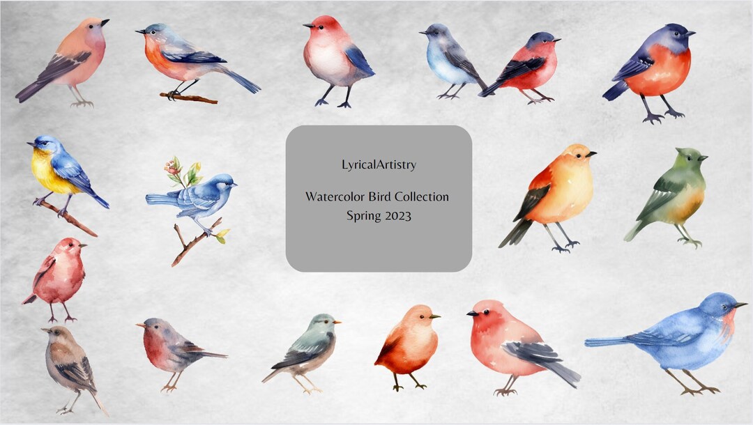 Set of 16, Watercolor Birds Clipart Bundle, Spring Birds Clipart, Birds ...