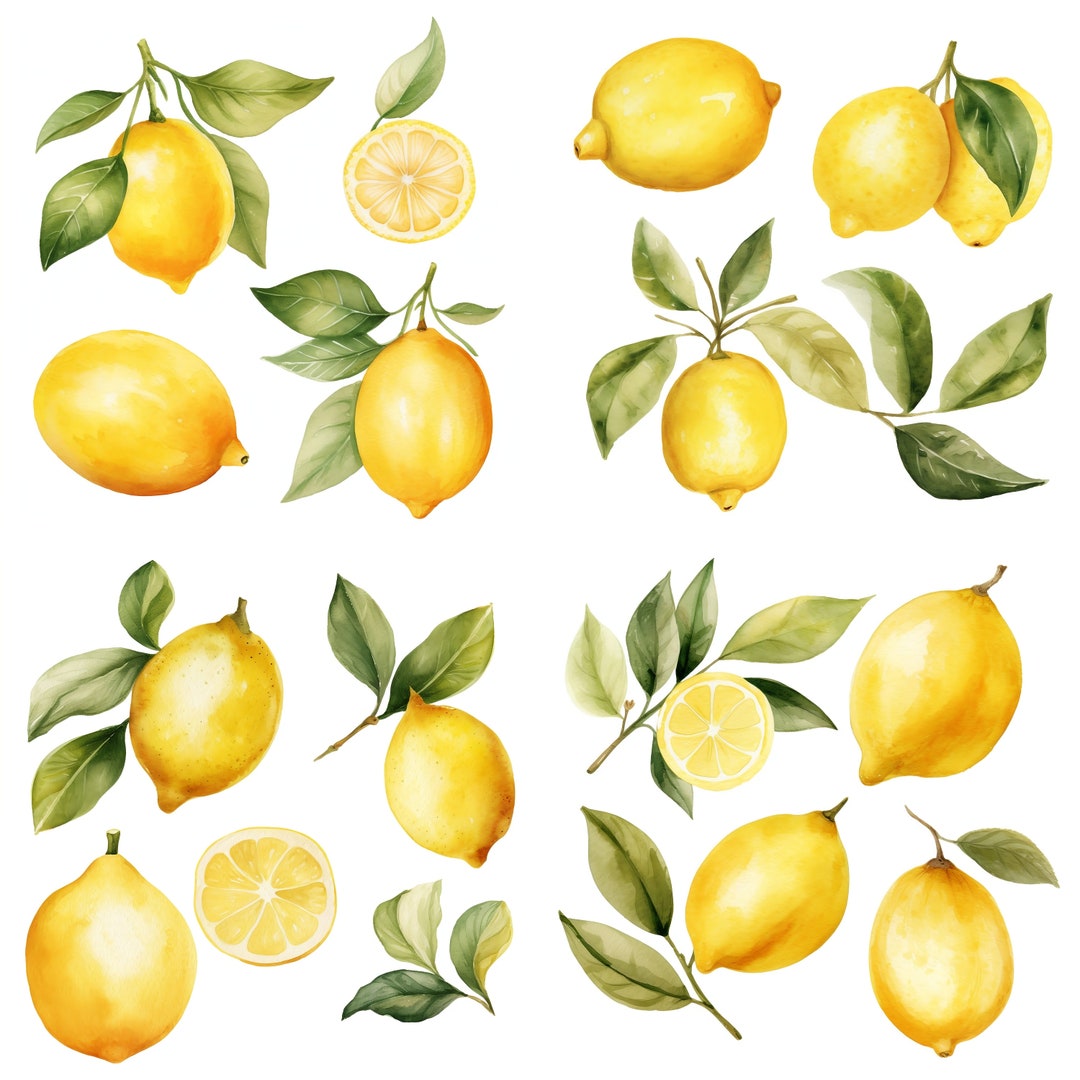 Lemon Clipart, Mediterranean Watercolor Clipart, PNG Clipart, Botanical ...