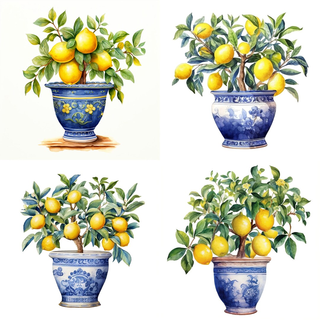 Mediterranean Watercolor Clipart - Lemon Tree Clipart - Watercolor ...