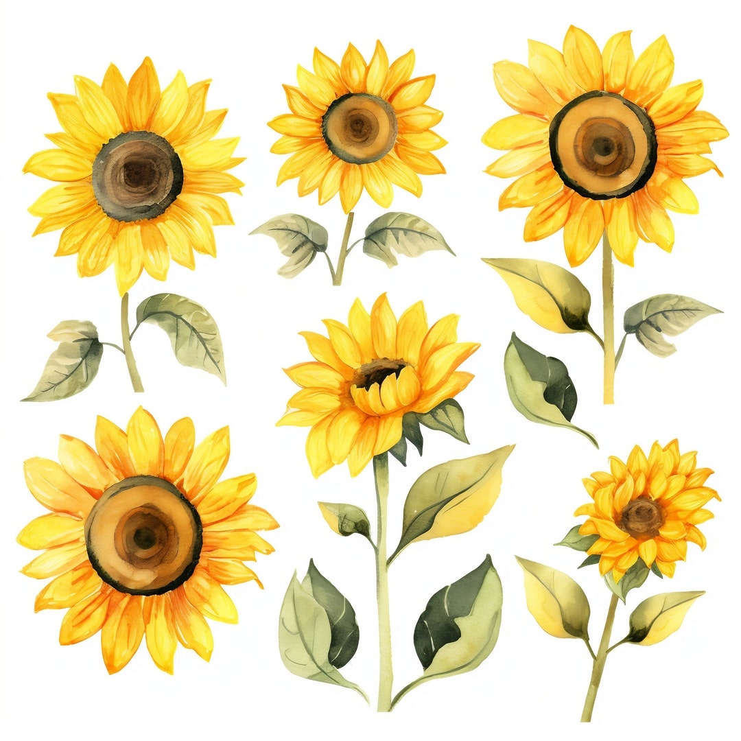 Watercolor Sunflower Clipart, Spring Floral, Sunflower PNG, Watercolor ...