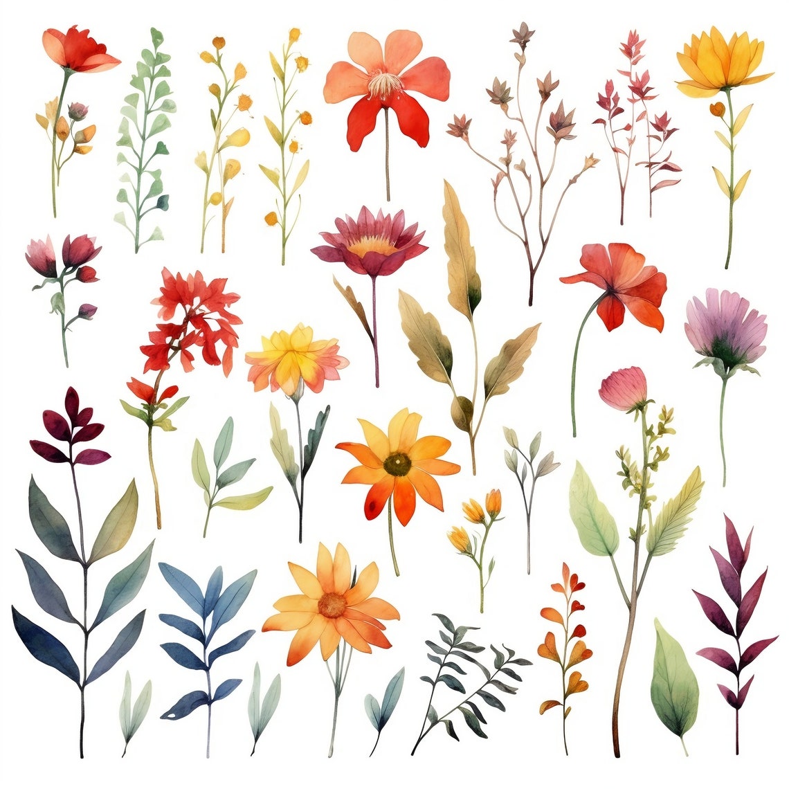 Watercolor Wildflower Clipart: 30 Png, Floral Clipart, Watercolor ...