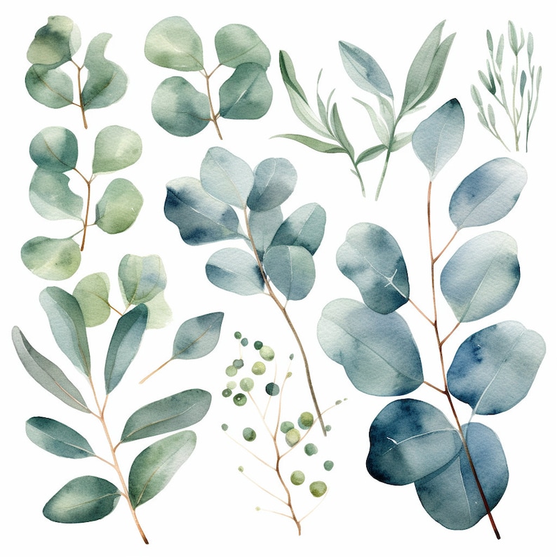 Greenery Foliage Leaves Clipart Set Eucalyptus Clipart: 28 - Etsy