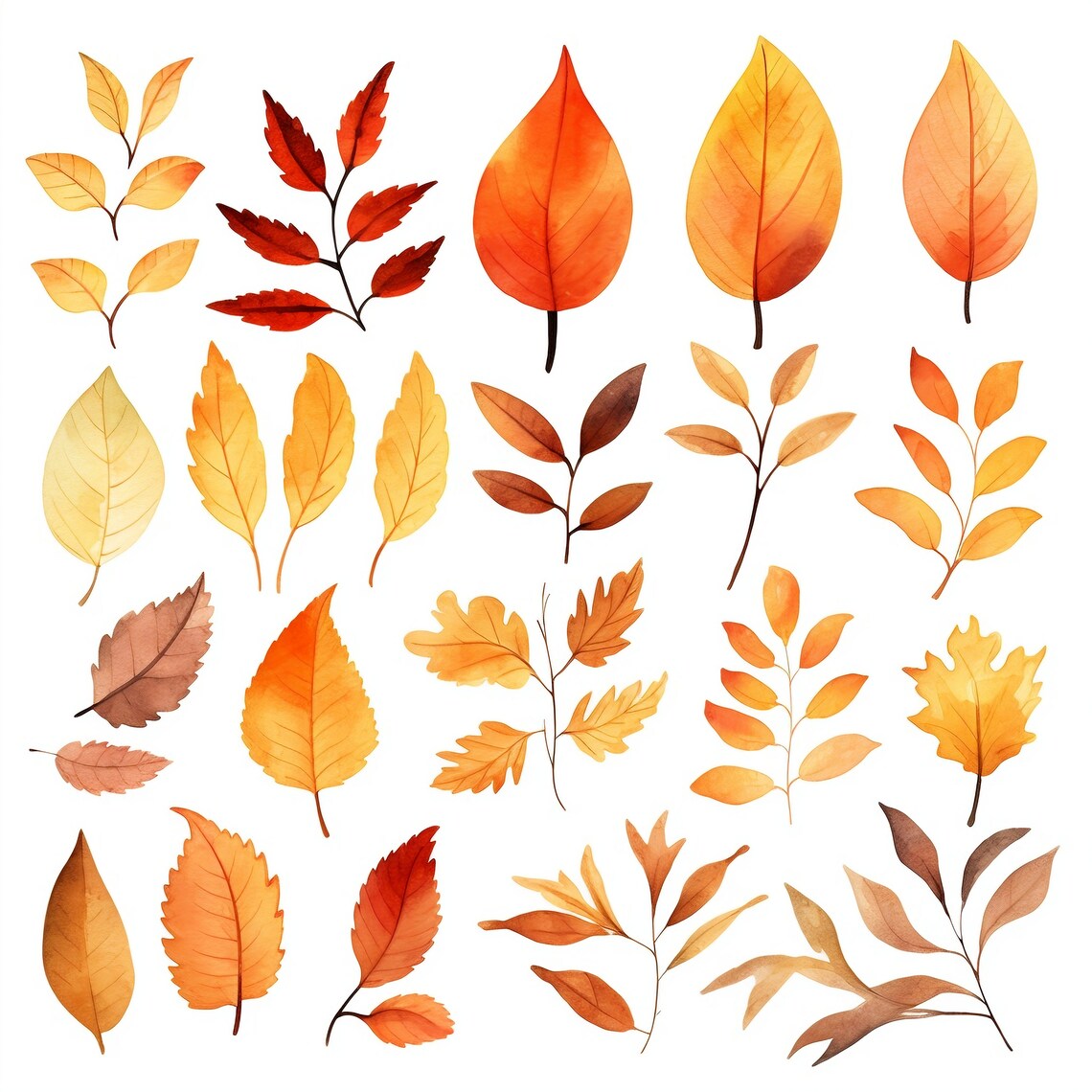 Watercolor Fall Leaves Clipart Bundle: 25 Png, Fall Foliage, Orange ...