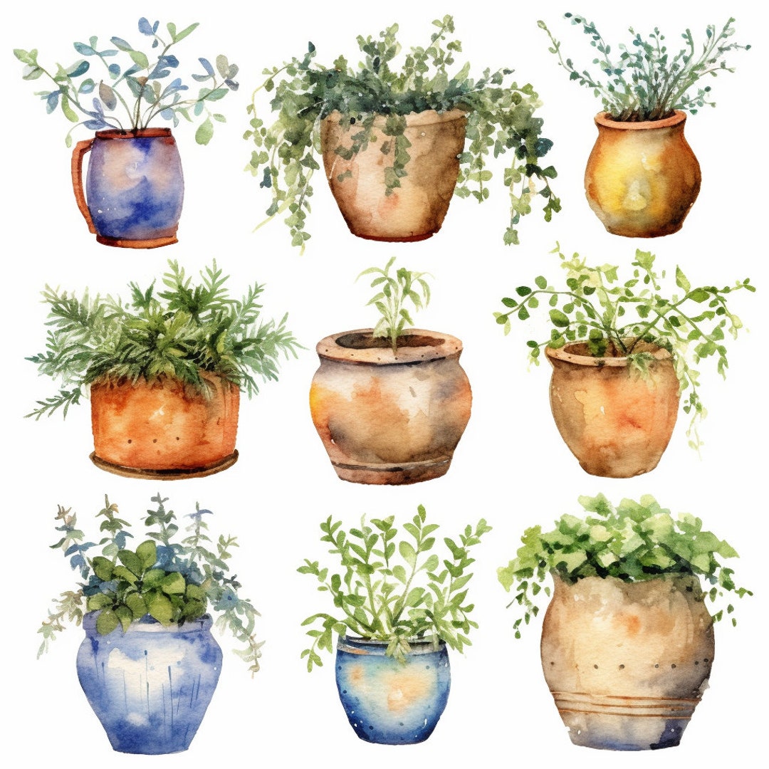 Potted Plants Watercolor Clipart Bundle, Greenery Foliage, Commercial ...