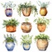 Potted Plants Watercolor Clipart Bundle, Greenery Foliage, Commercial ...
