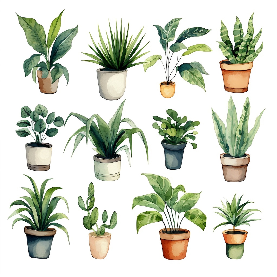 Watercolor House Plants Clipart - Watercolor Greenery and Foliage ...