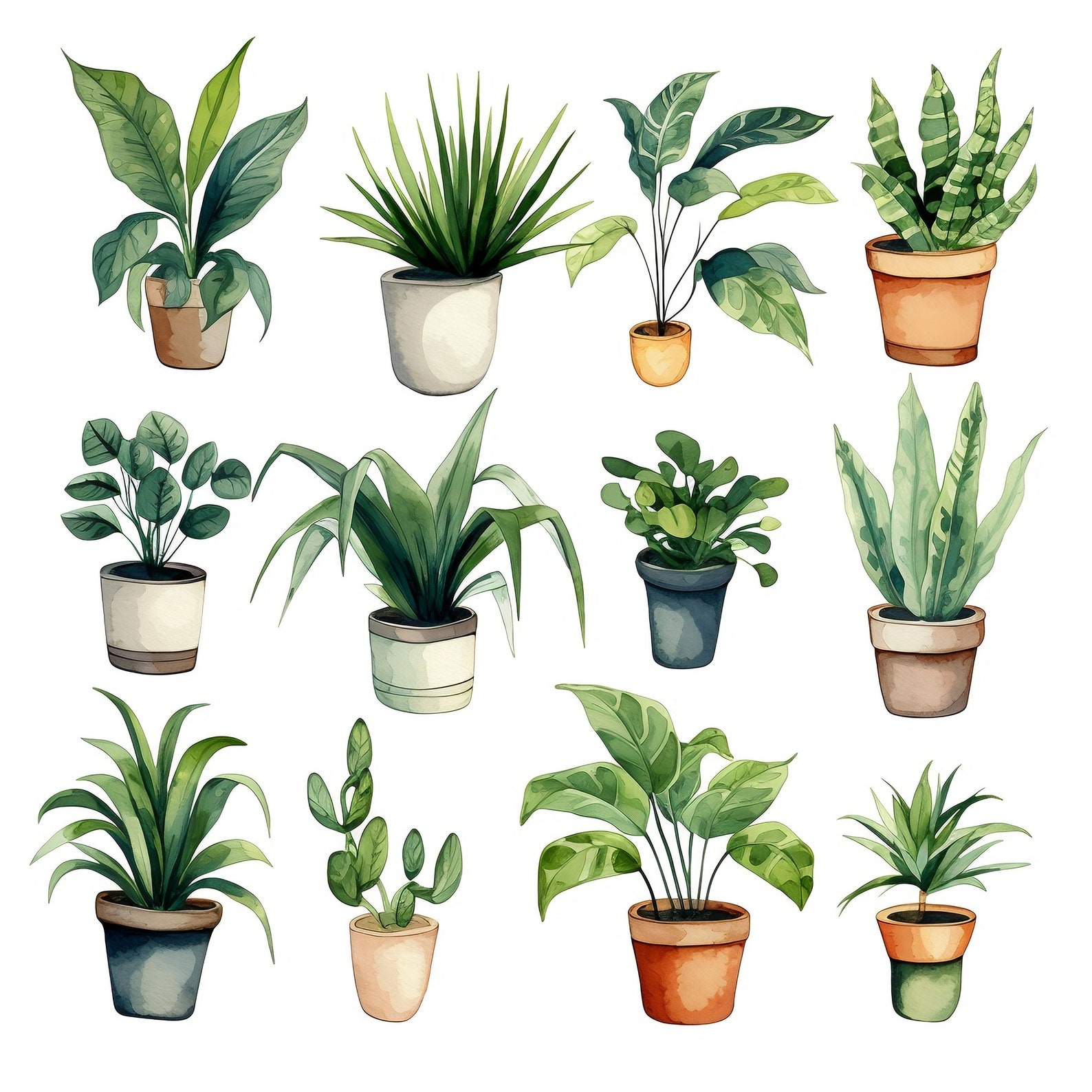Watercolor House Plants Clipart - Watercolor Greenery and Foliage ...