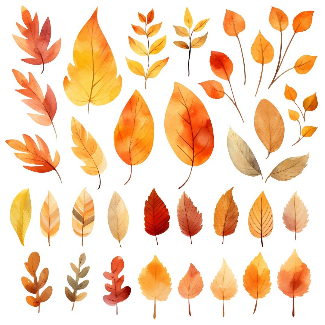 Watercolor Fall Leaves Clipart Set: 35 Images, Watercolor Fall Foliage ...
