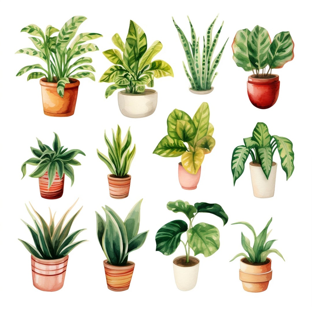Watercolor House Plants Clipart - Watercolor Greenery and Foliage ...