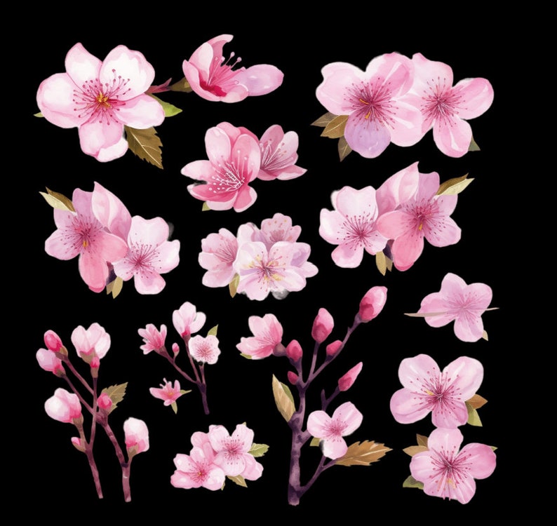 Watercolor Cherry Blossom Clipart, Cherry Blossom Flowers and Foliage ...